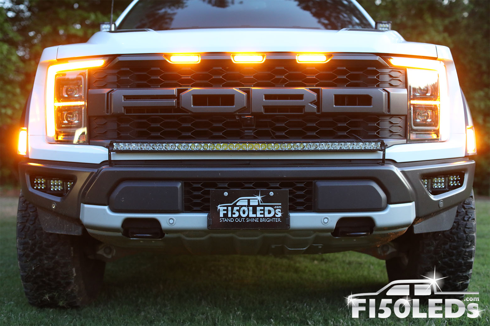 2021 - 2023 F150 Raptor GEN3 44" Paladin 210W Curved CREE XTE LED Bump