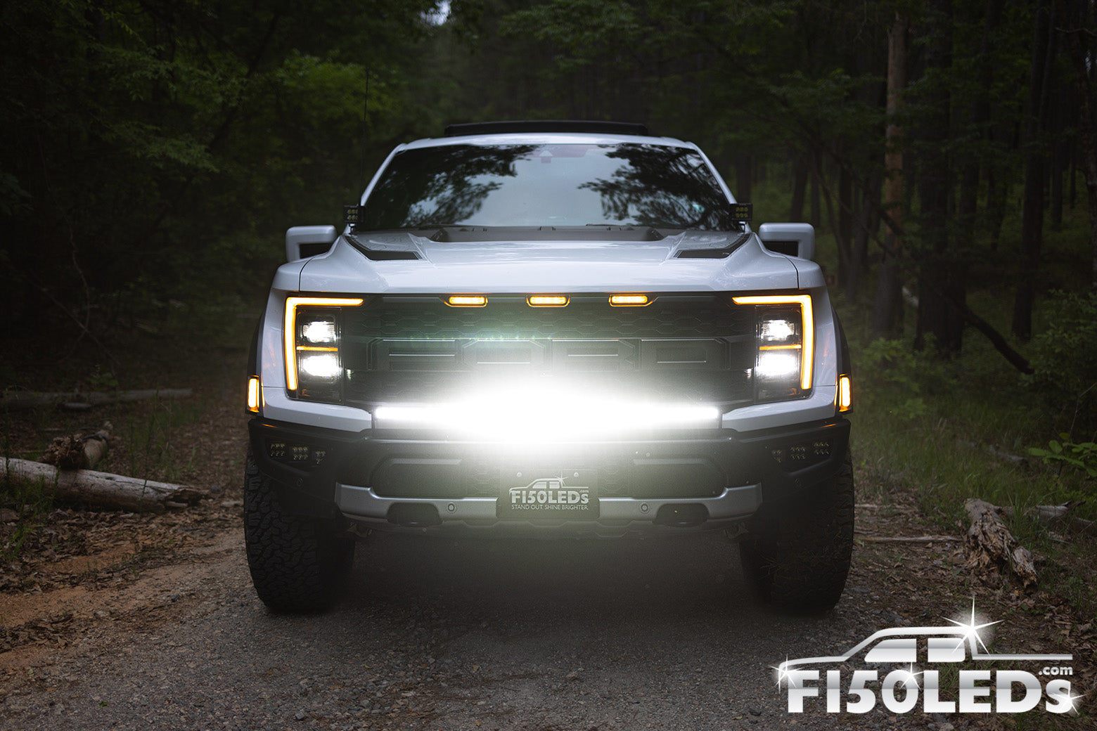 2021 - 2023 F150 Raptor GEN3 44" Paladin 210W Curved CREE XTE LED Bump