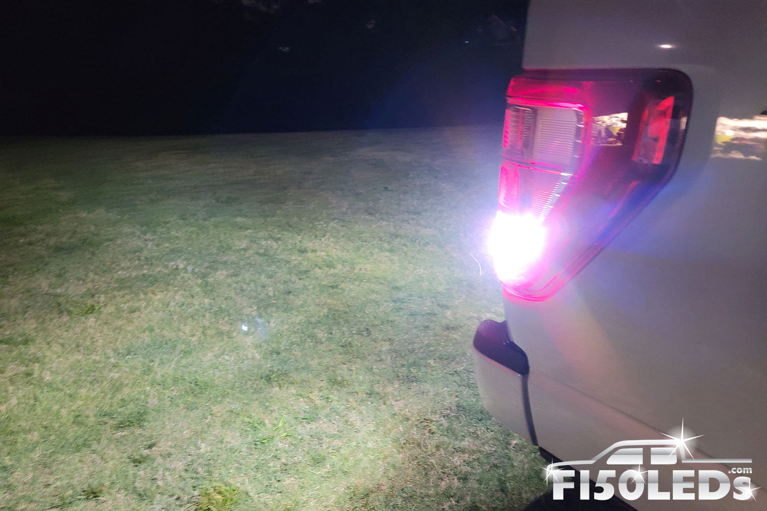 2021 - 2023 F150 High Powered CREE LED Reverse Light Bulbs – F150LEDs.com